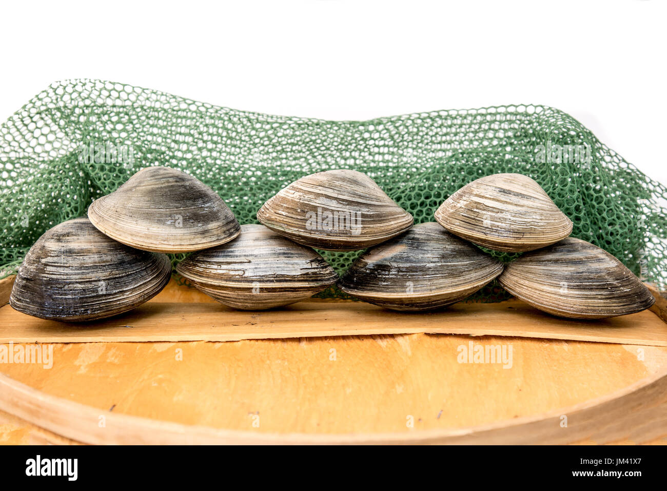 Clams from Sedge Island, NJ Stock Photo - Alamy