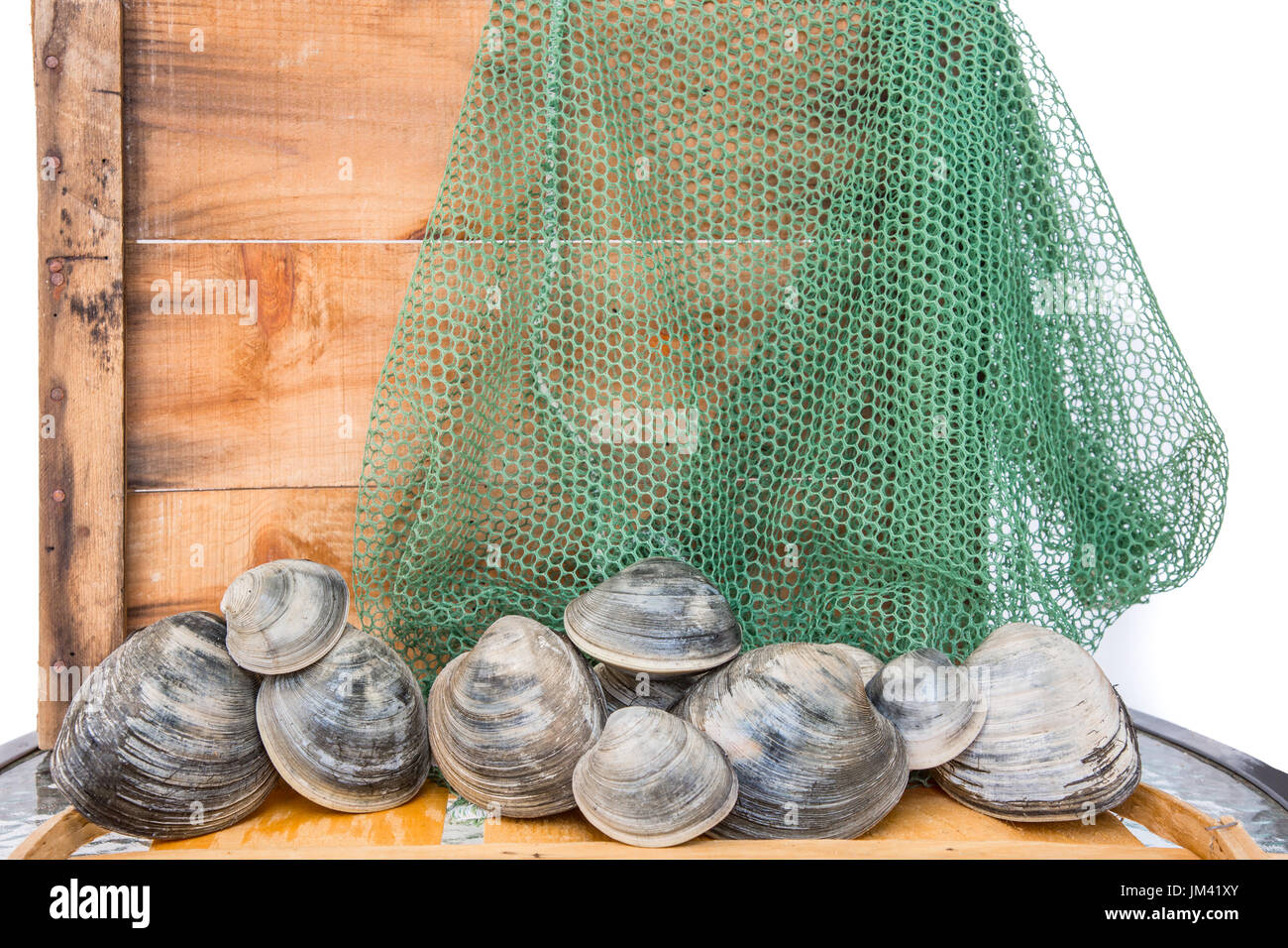 Clams from Sedge Island, NJ Stock Photo - Alamy