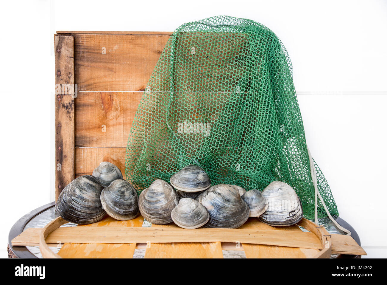 Clams from Sedge Island, NJ Stock Photo - Alamy