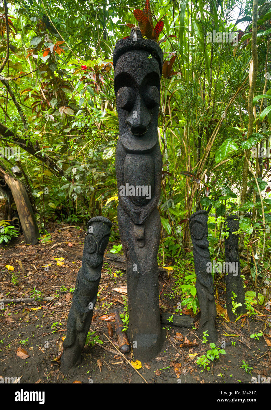 Fern tree grade figures in the jungle, Ambrym island, Olal, Vanuatu ...