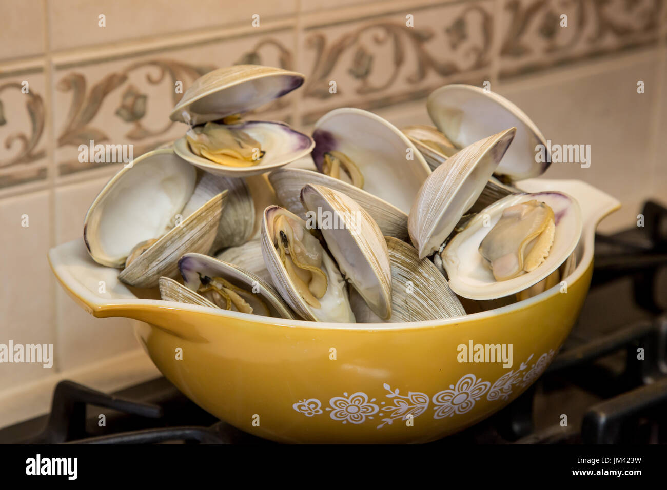 Clams from Sedge Island, NJ Stock Photo - Alamy