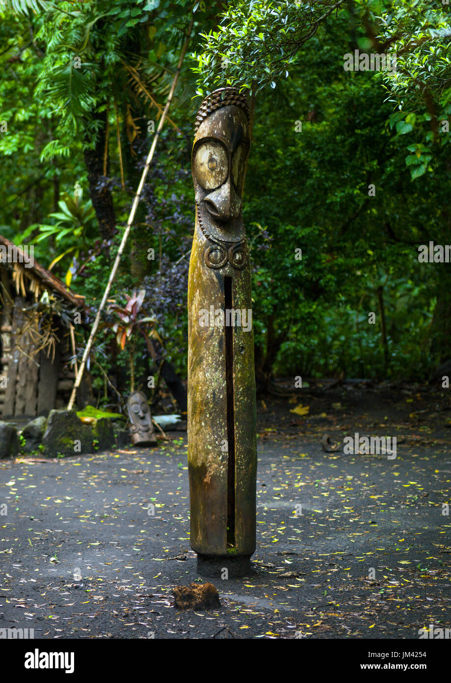 Slit gong drum in front of a nakamal in the jungle, Ambrym island, Olal ...