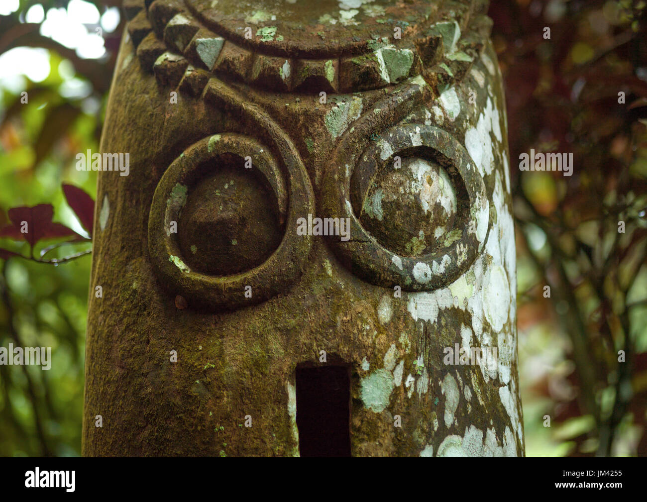 Wild pig tusks carved on a slit gong drum, Ambrym island, Olal, Vanuatu ...