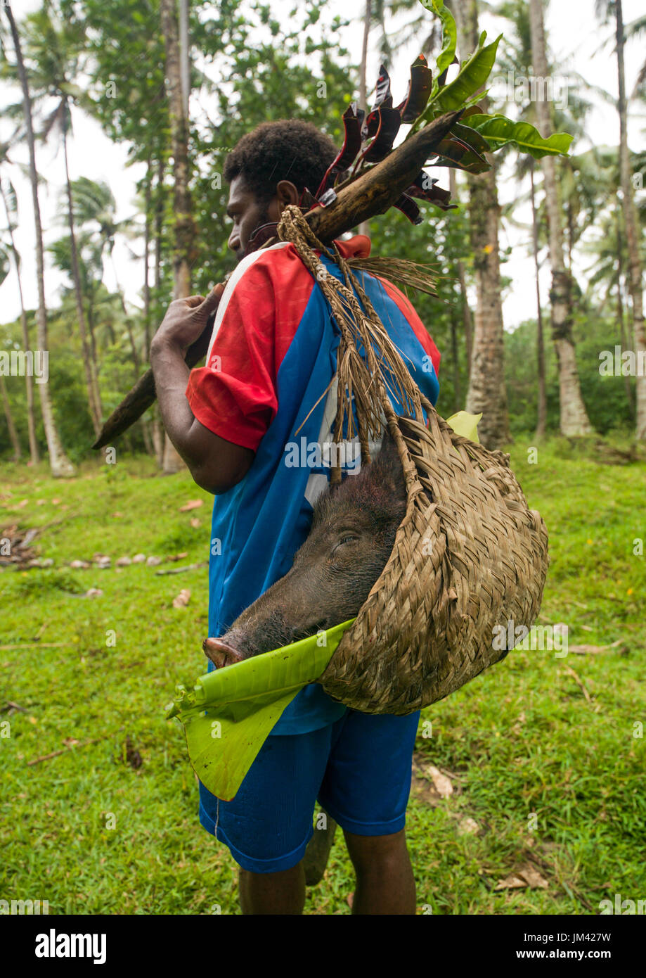 Hunter carrying a wild pig head in a basket, Ambrym island, Olal ...