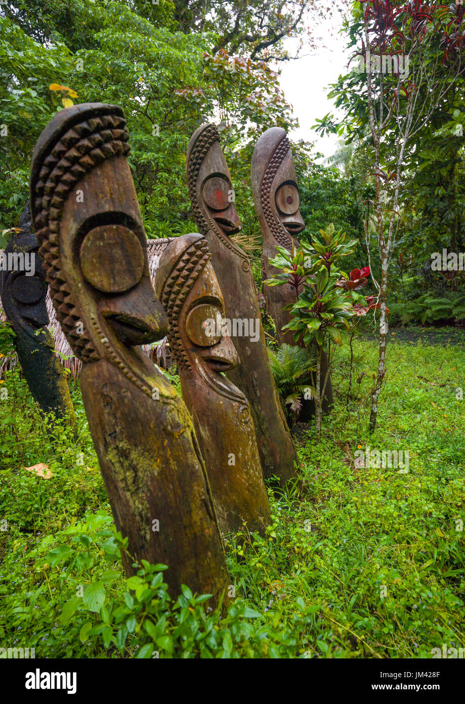 Slit gong drums in the jungle on a ceremonial ground called nasara ...