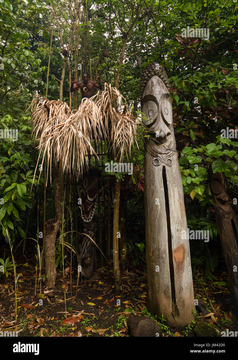 Slit gong drum in the jungle on a ceremonial ground called nasara ...