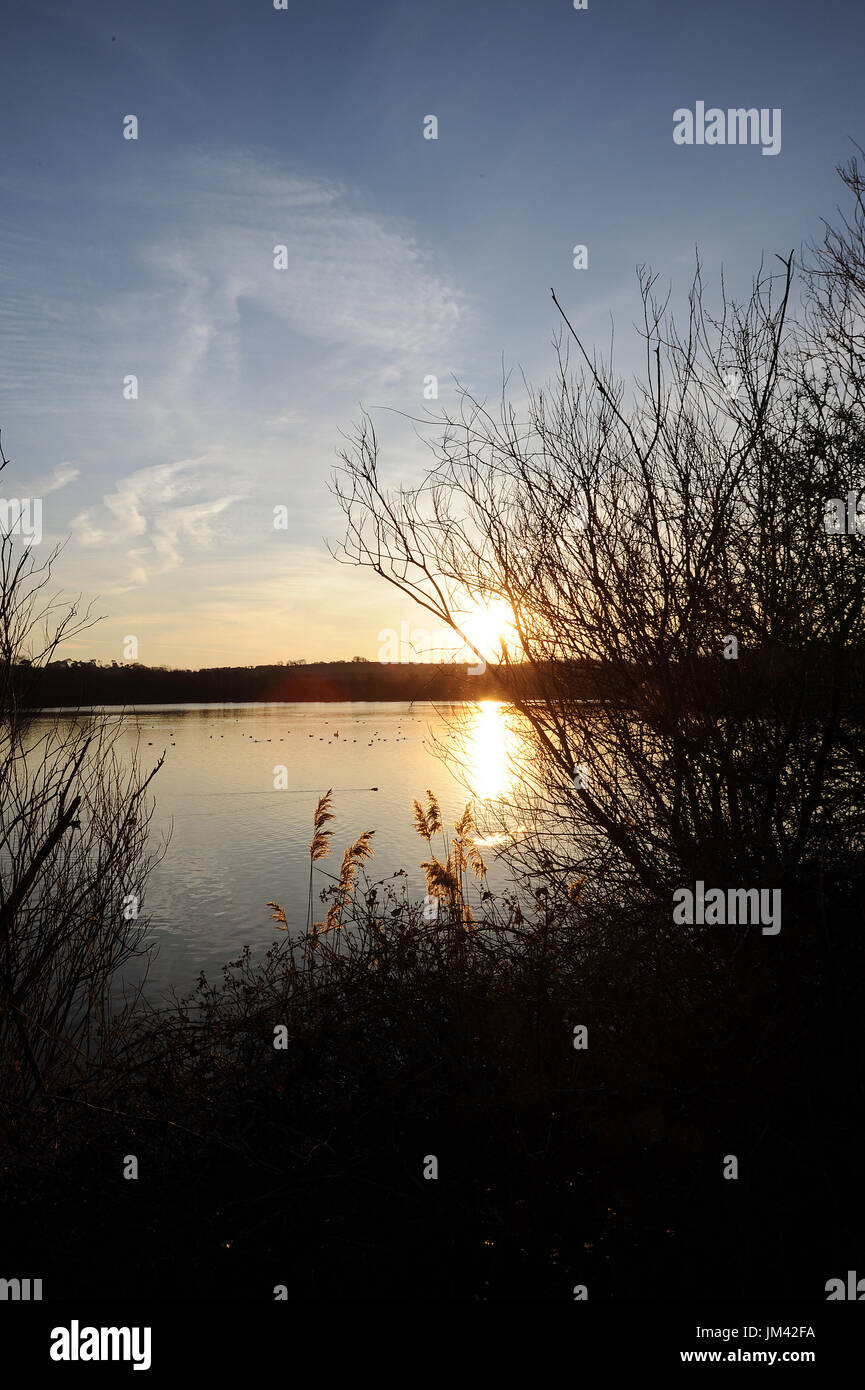 Sunset at Cosmeston Lake Stock Photo - Alamy