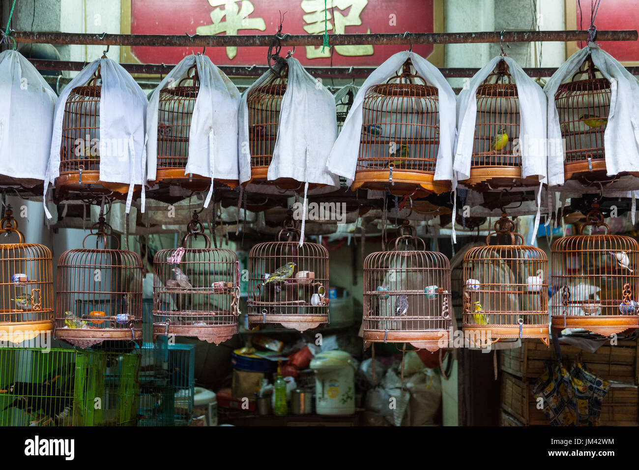 HONG KONG - JULY 17, 2014: The Yuen Po Street Bird Garden. Birds in the ...