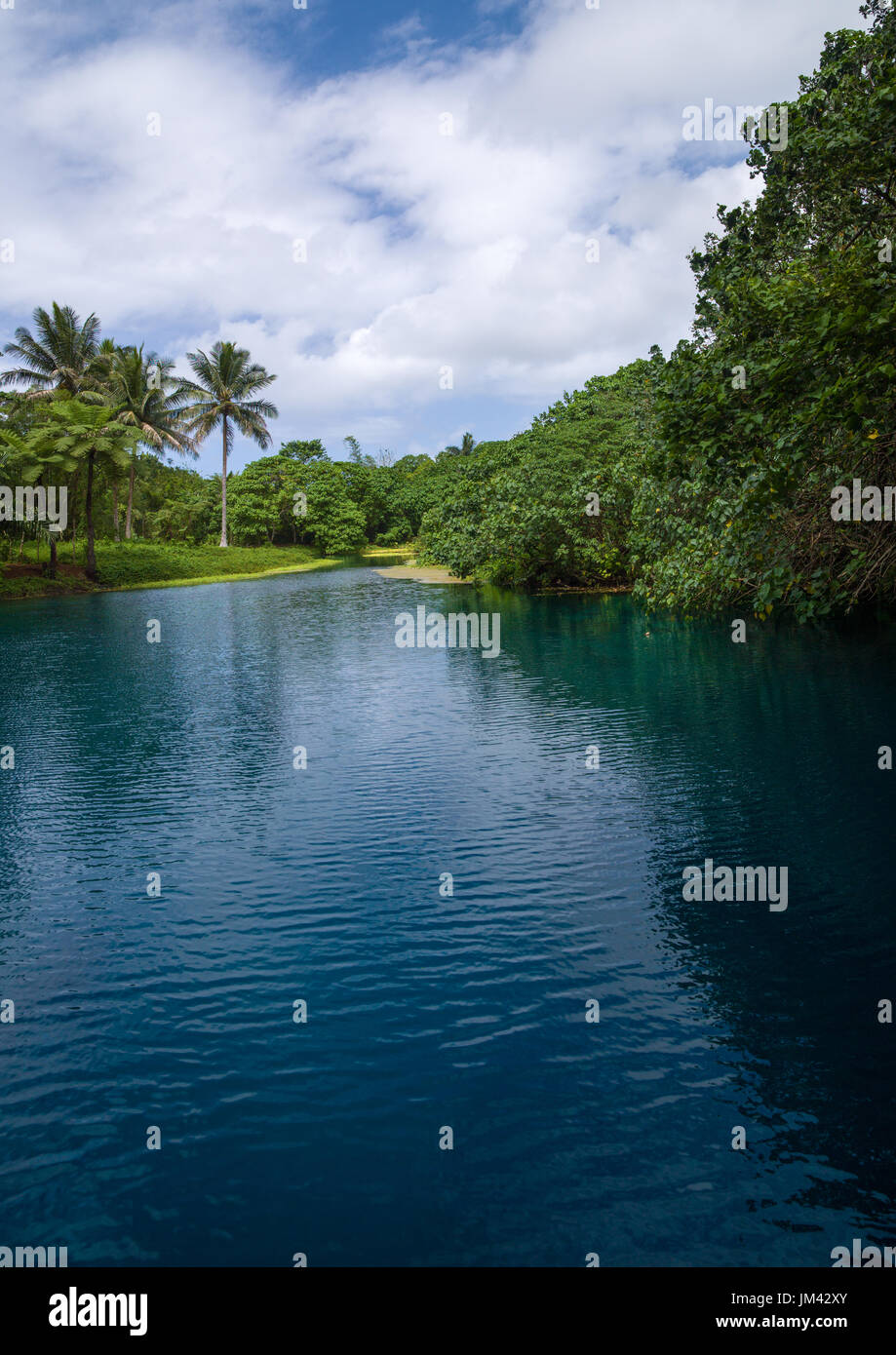 Matevulu blue hole, Sanma Province, Espiritu Santo, Vanuatu Stock Photo ...