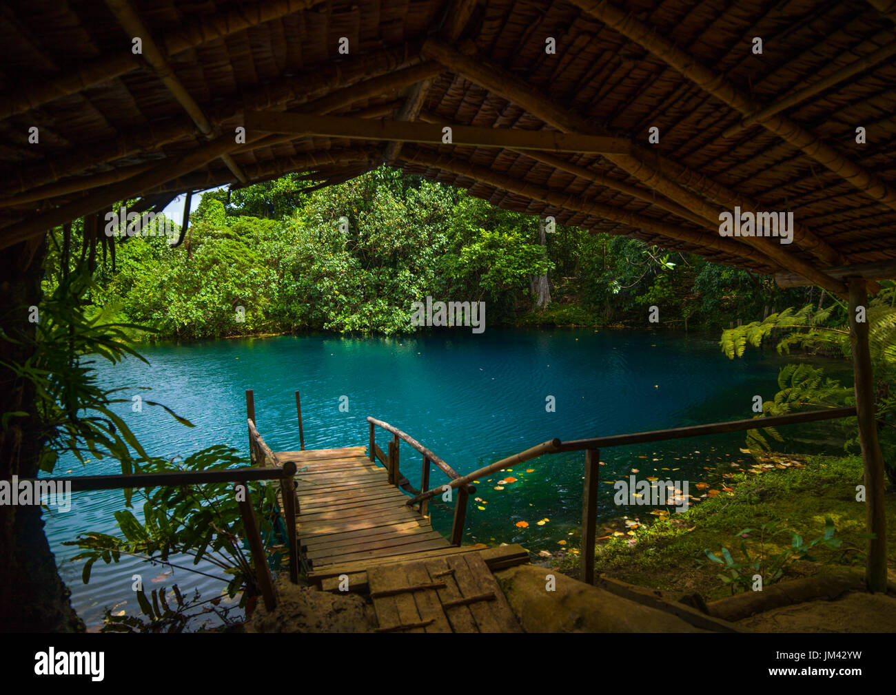 Matevulu blue hole, Sanma Province, Espiritu Santo, Vanuatu Stock Photo ...