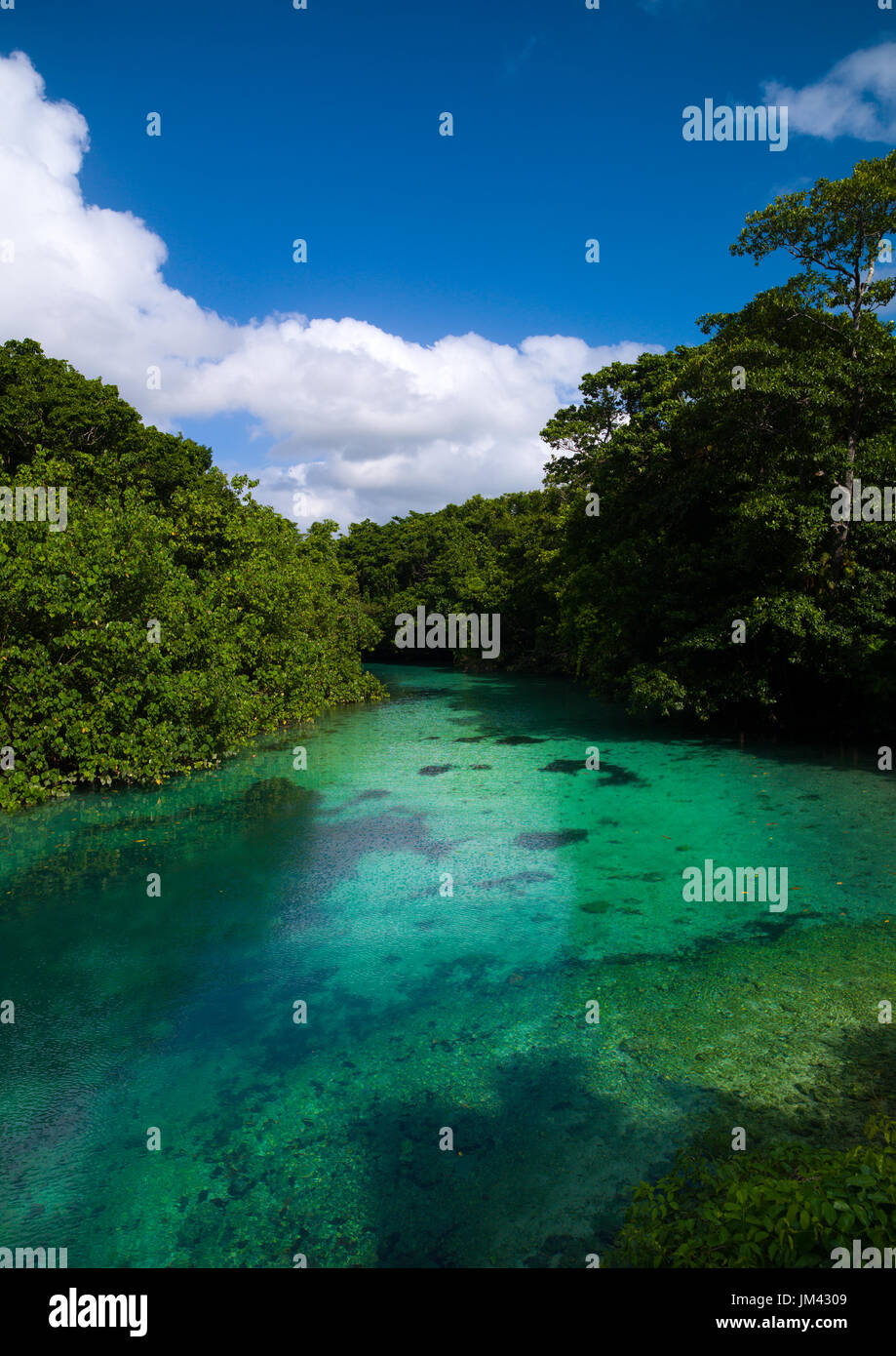 Green water river, Sanma Province, Espiritu Santo, Vanuatu Stock Photo ...