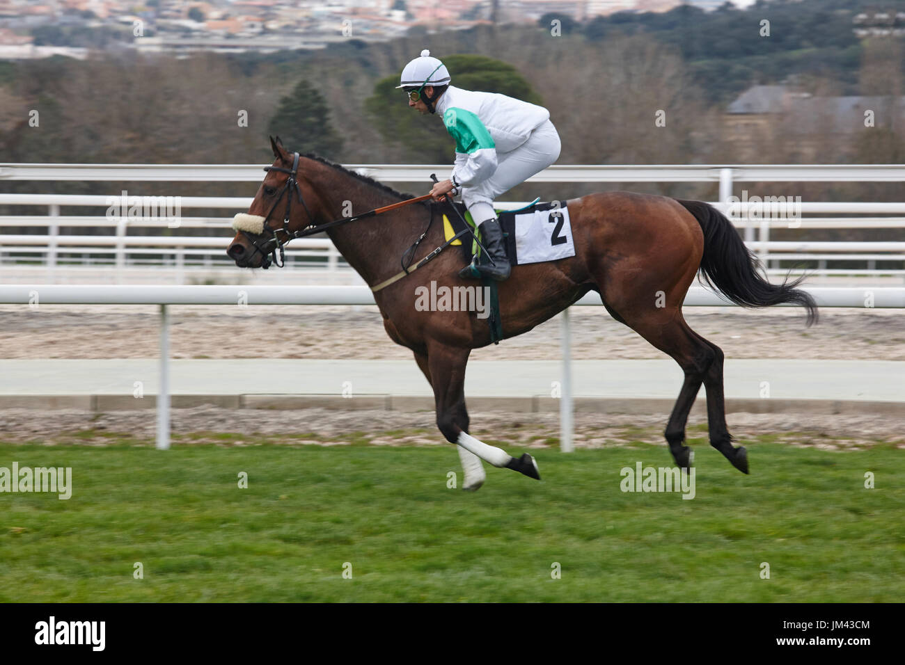 Horse race warm up. Competition sport. Hippodrome. Winner. Speed ...