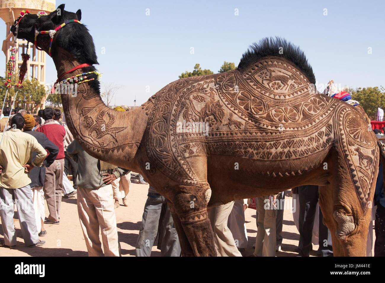 Rajasthan art hi-res stock photography and images - Alamy