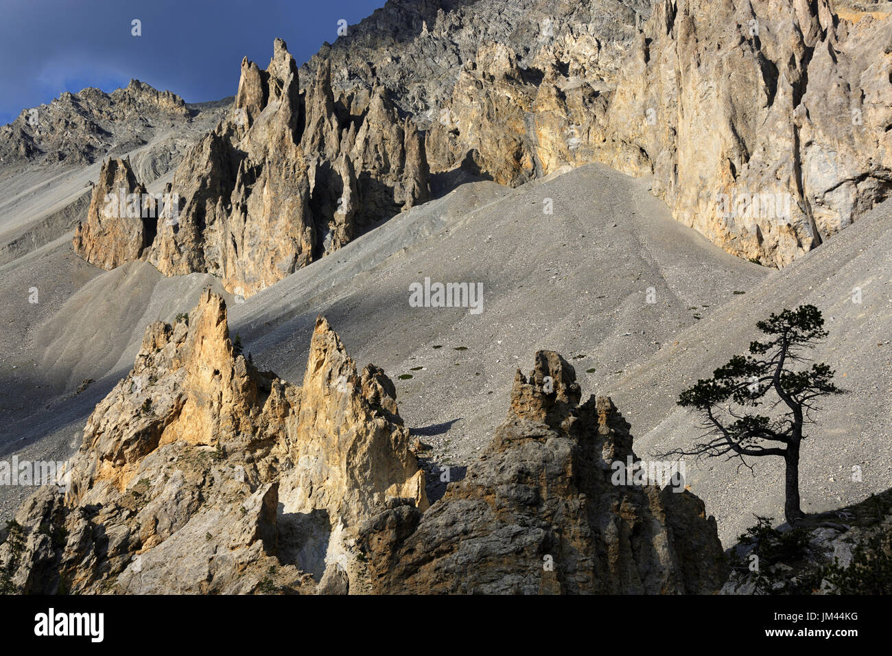 Silhouette of a lone tree in Casse Deserte, Col d'Isoard, Alpes, France ...
