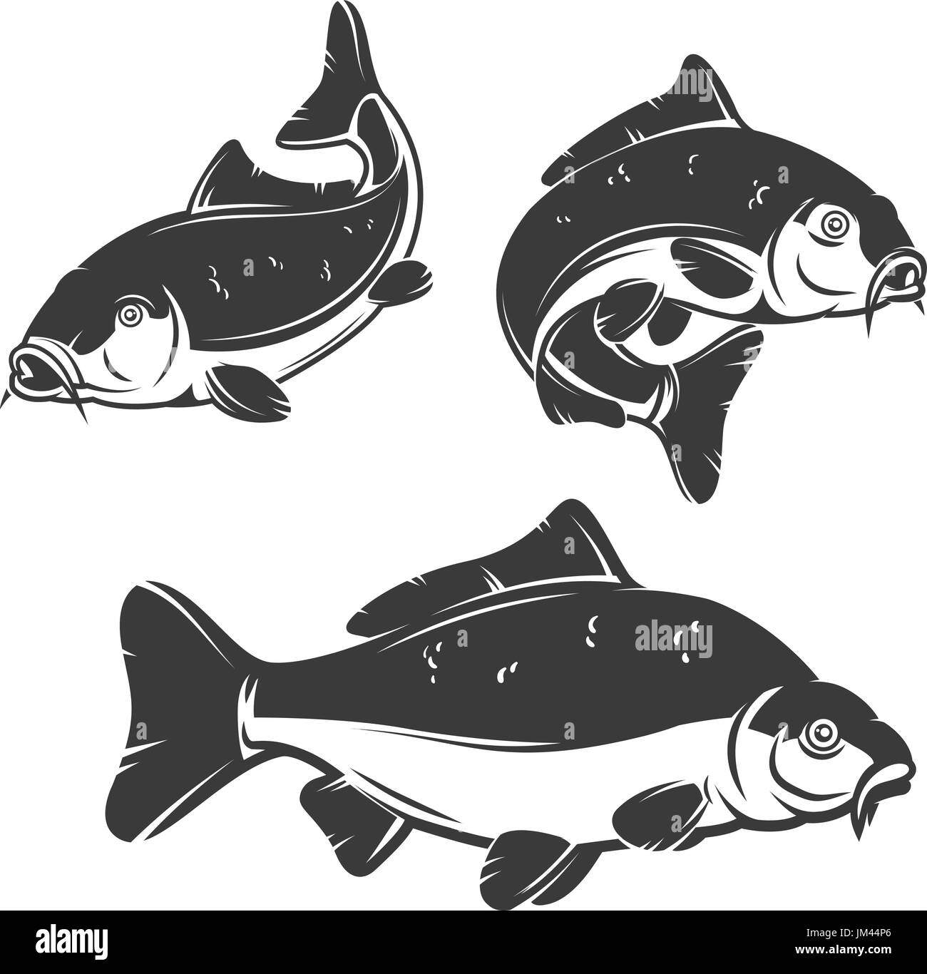 Scale carp Black and White Stock Photos & Images - Alamy