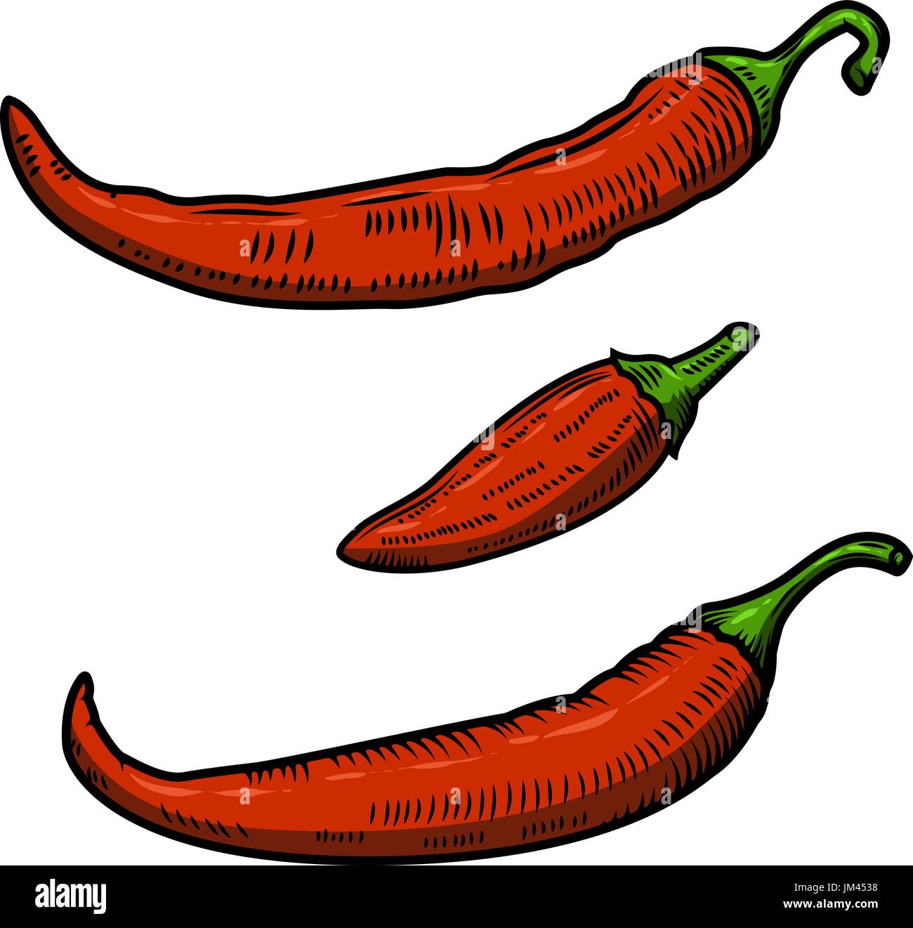 Set of Chili pepper illustration isolated on white background. Design ...