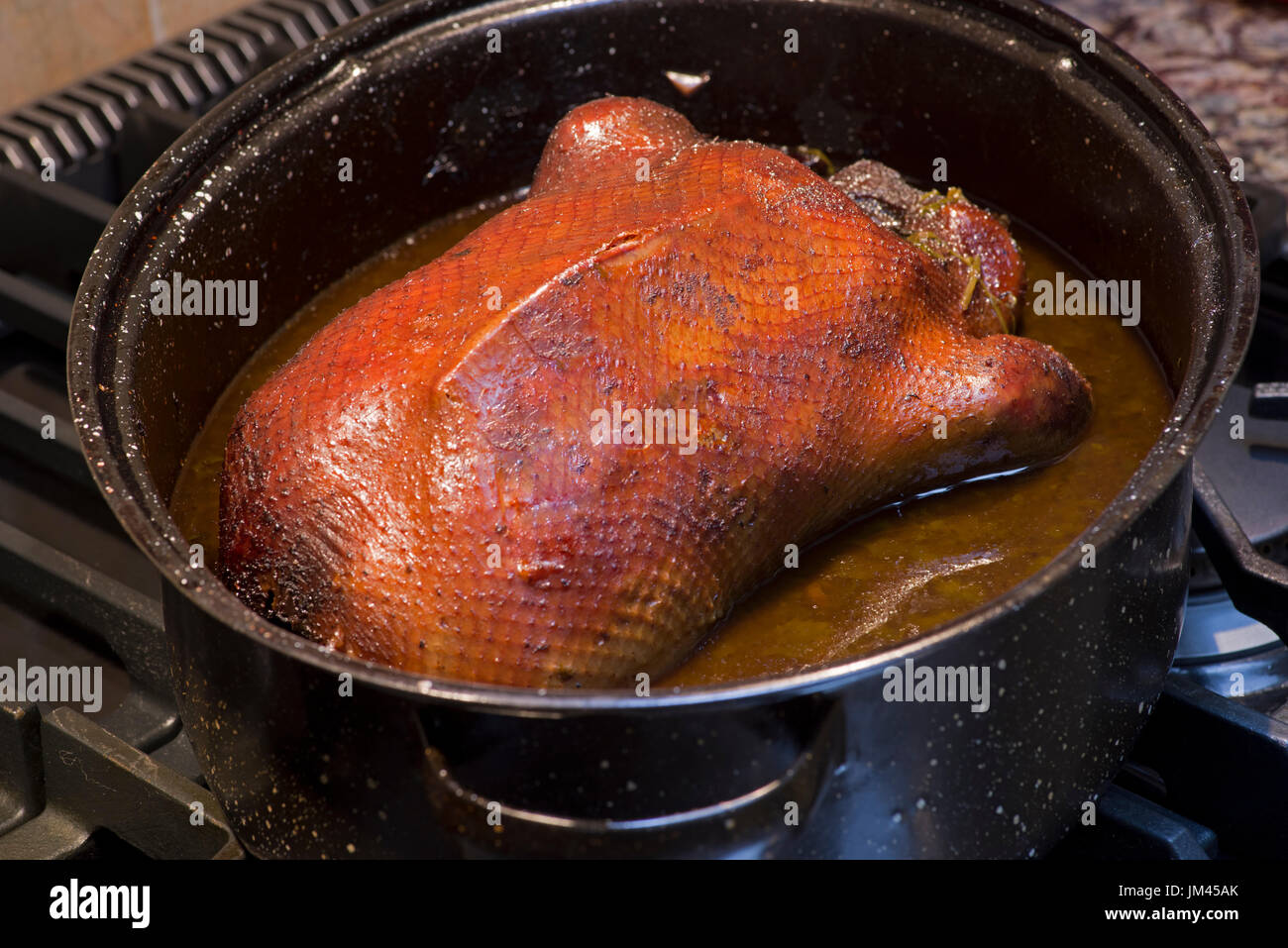Braised wild canadian goose hi-res stock photography and images - Alamy