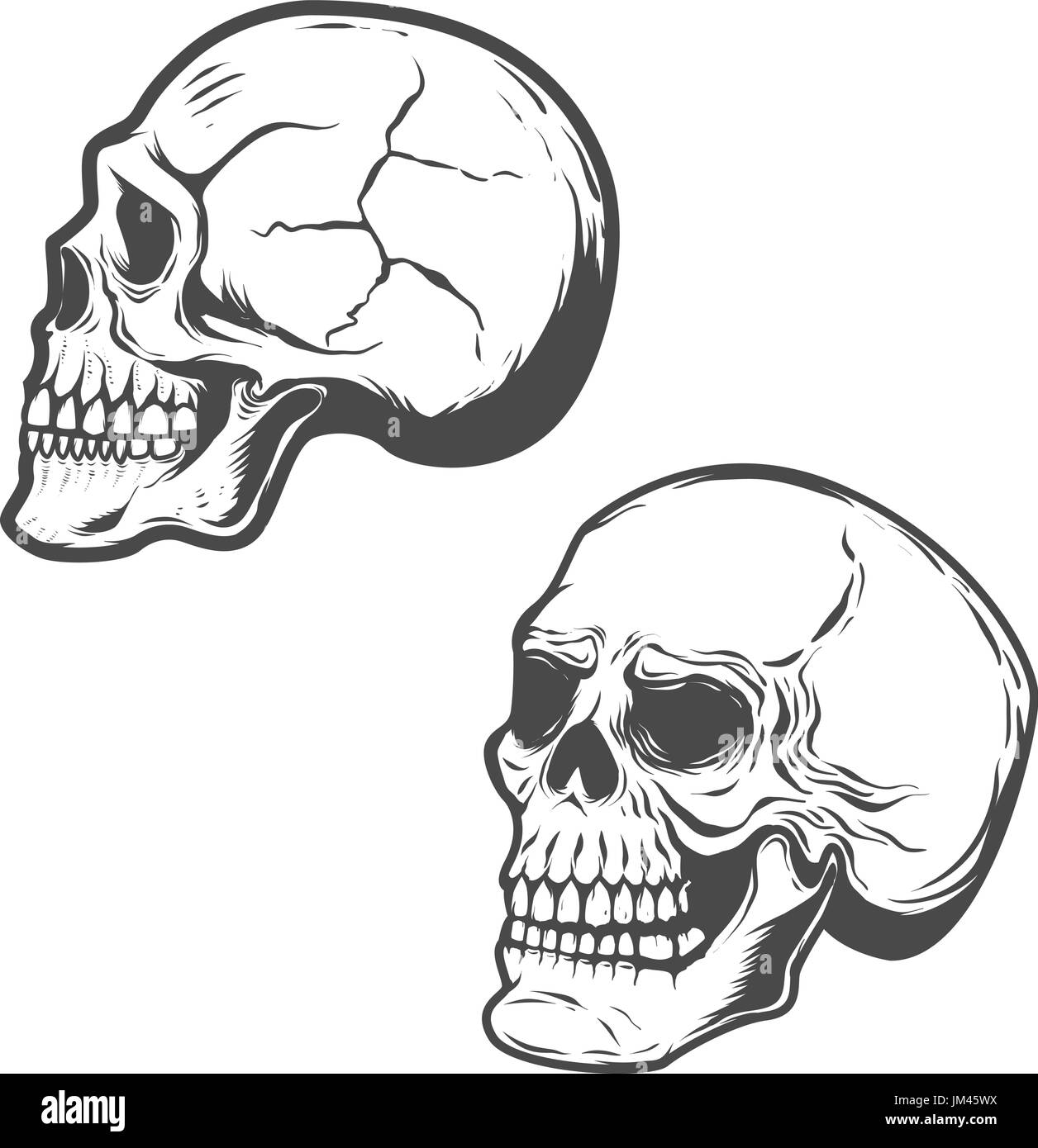 Set of the vector skulls isolated on white background Stock Vector ...