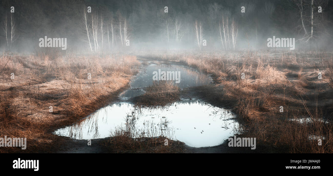 Early spring landscape with puddles and migratory birds in reflection ...