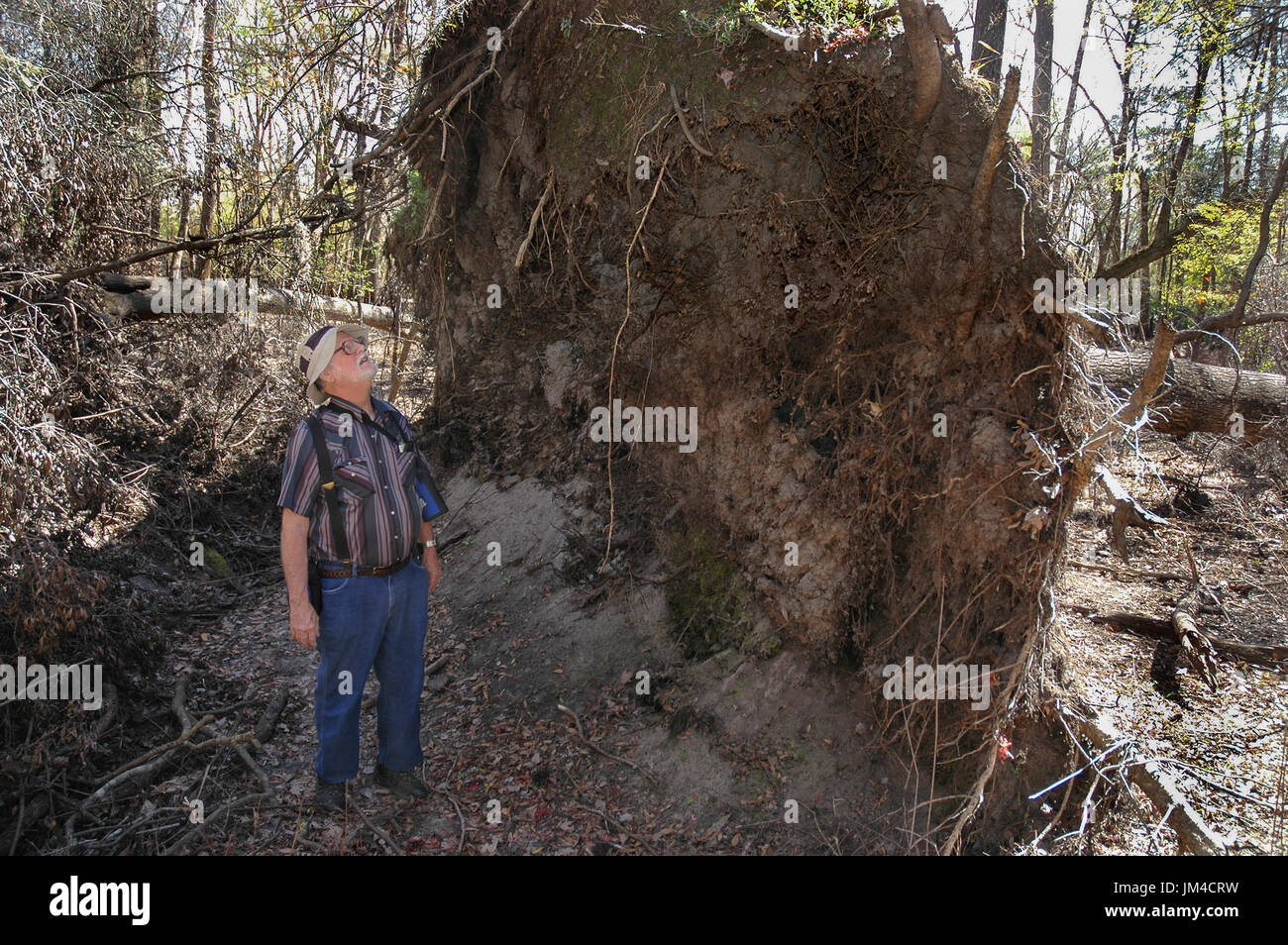 Rootball Stock Photos & Rootball Stock Images - Alamy