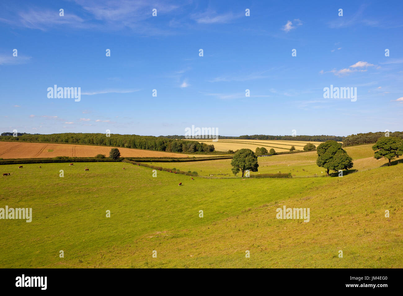 a traditional english landscape under a blue summer sky with patchwork ...