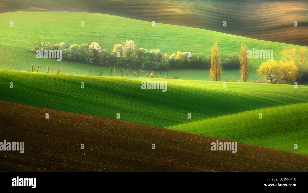 Southern moravia fields hi-res stock photography and images - Alamy