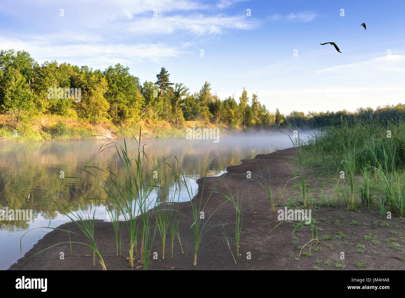 Morning mist over the river Stock Photo - Alamy