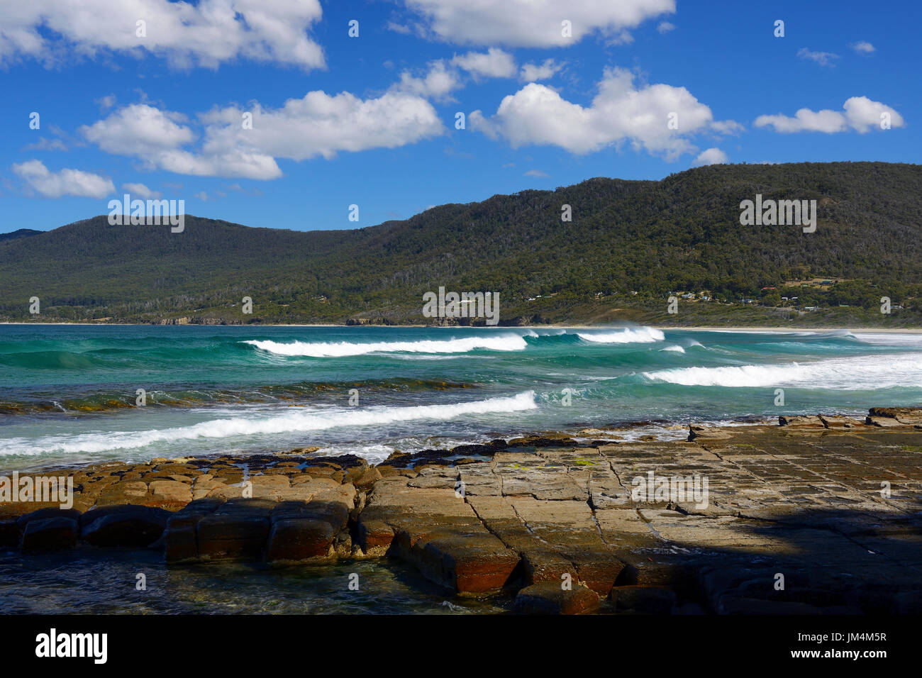 Tessellated pavement at Eaglehawk Neck on Tasman Peninsula, Tasmania ...