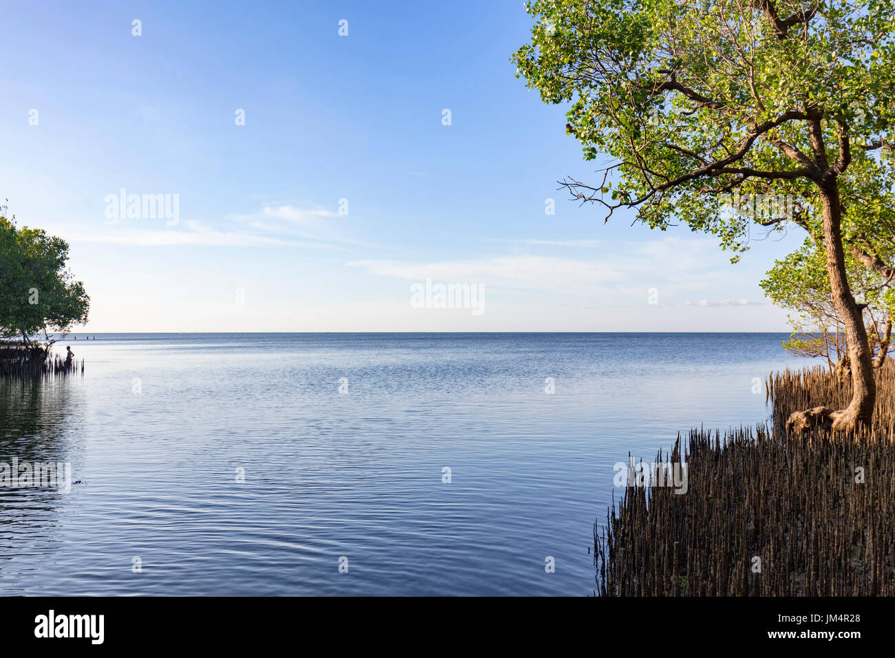 Maumere hi-res stock photography and images - Alamy