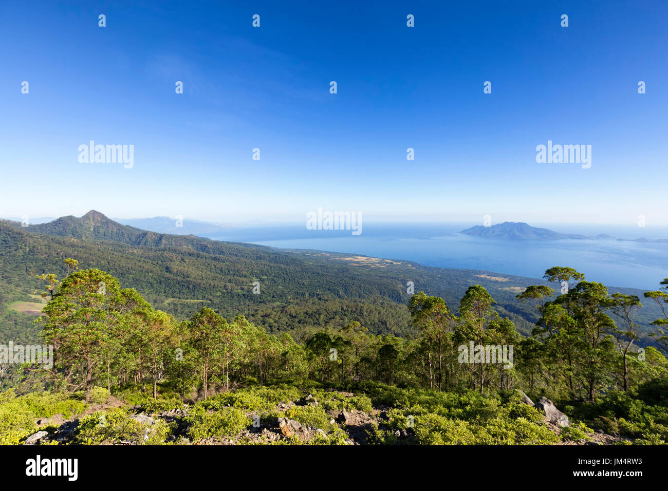 View of the edge of the treeline before low lying scrubs take on the ...