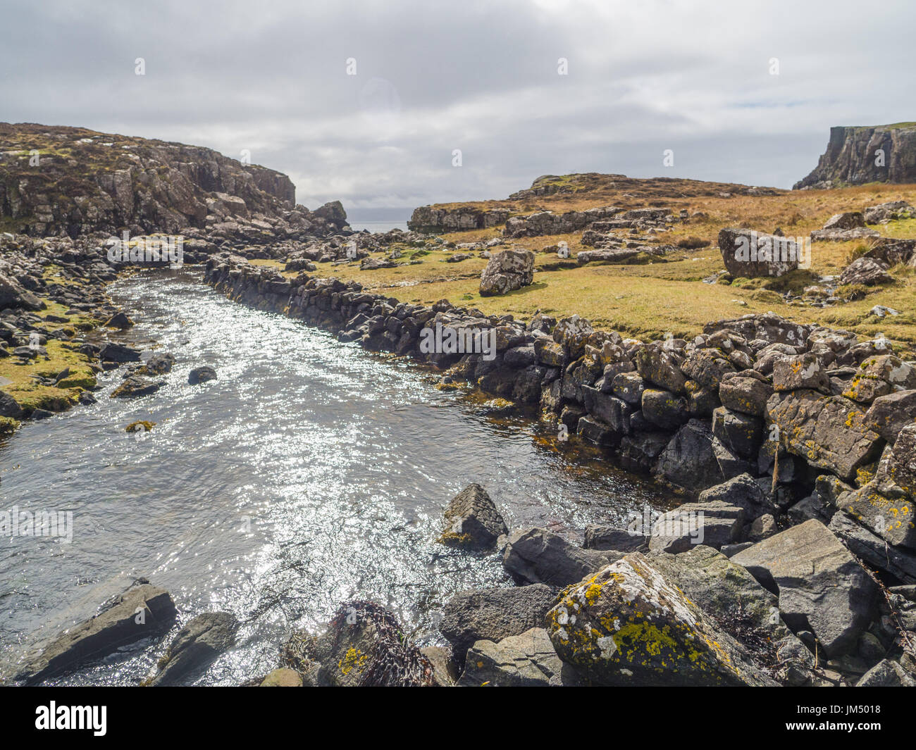 Soay Skye High Resolution Stock Photography and Images - Alamy