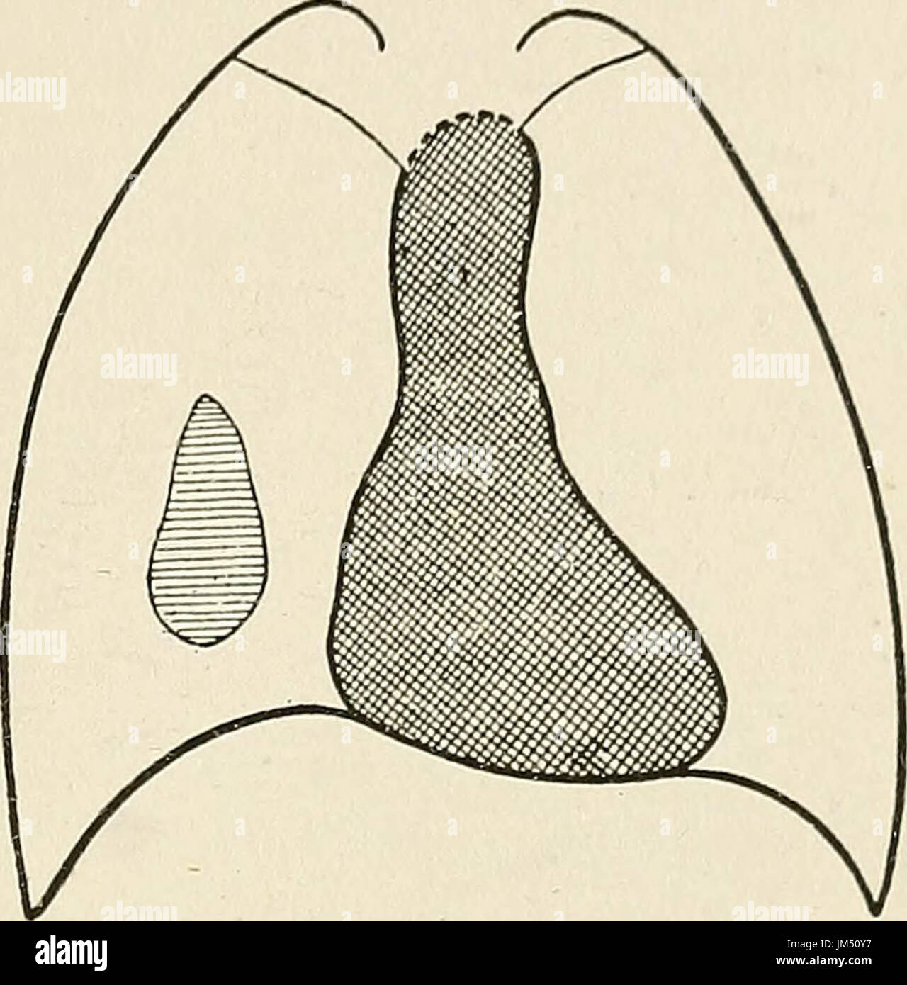 Special information High Resolution Stock Photography and Images - Alamy