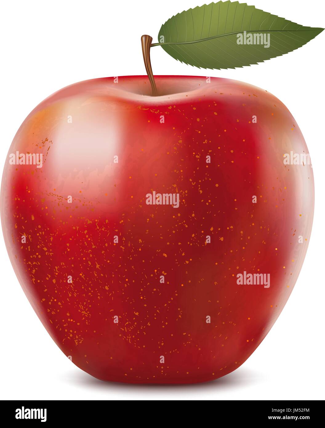 Fruits apples leaves autumn Stock Vector Images - Alamy