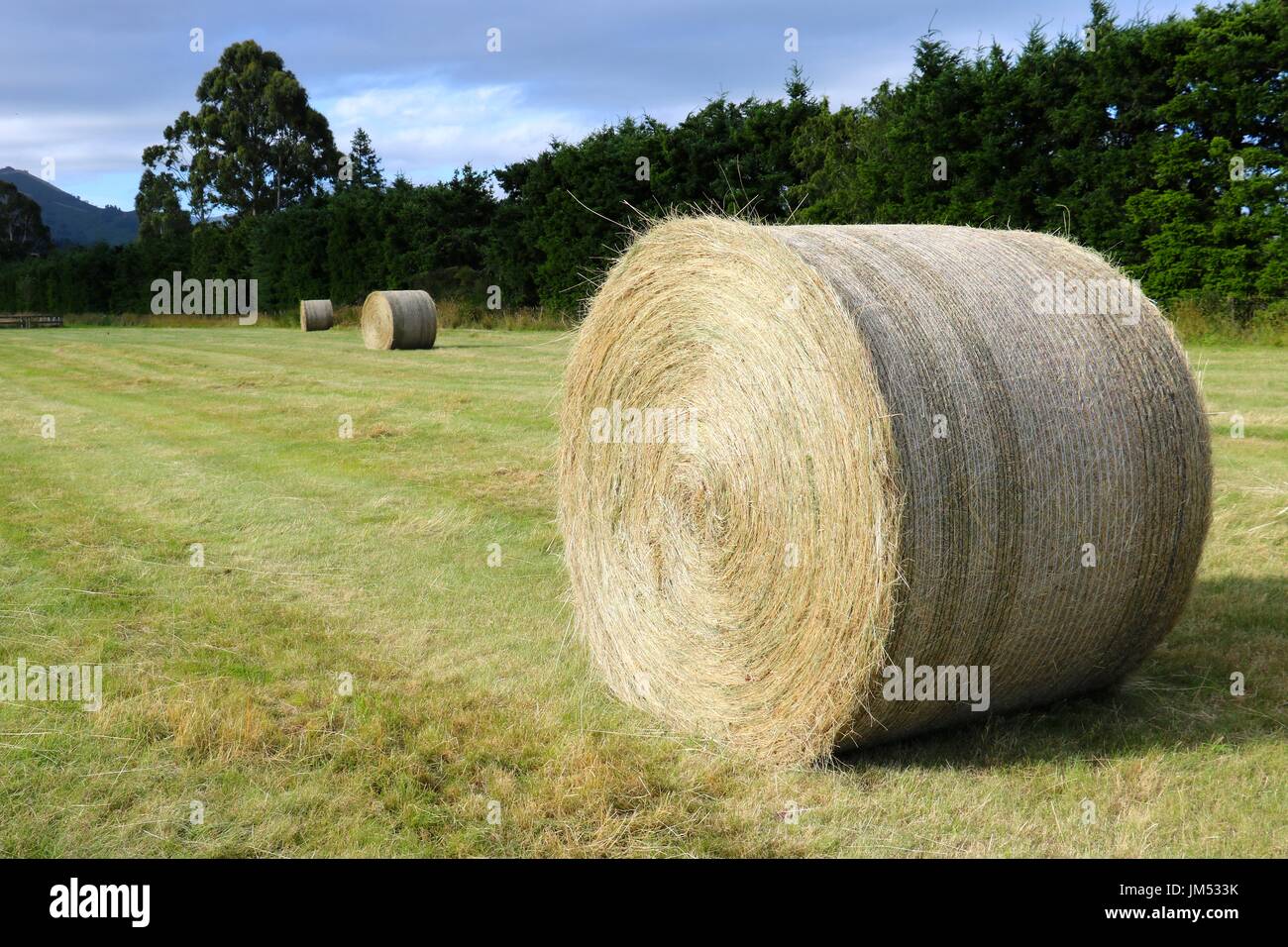 Hay field in new zealand hi-res stock photography and images - Alamy