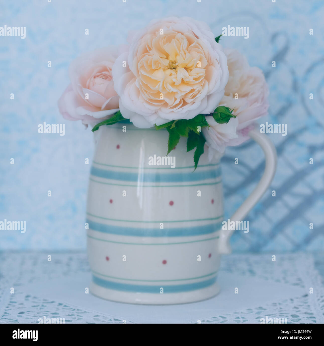 Close up study of Rose Crocus Rose Stock Photo - Alamy