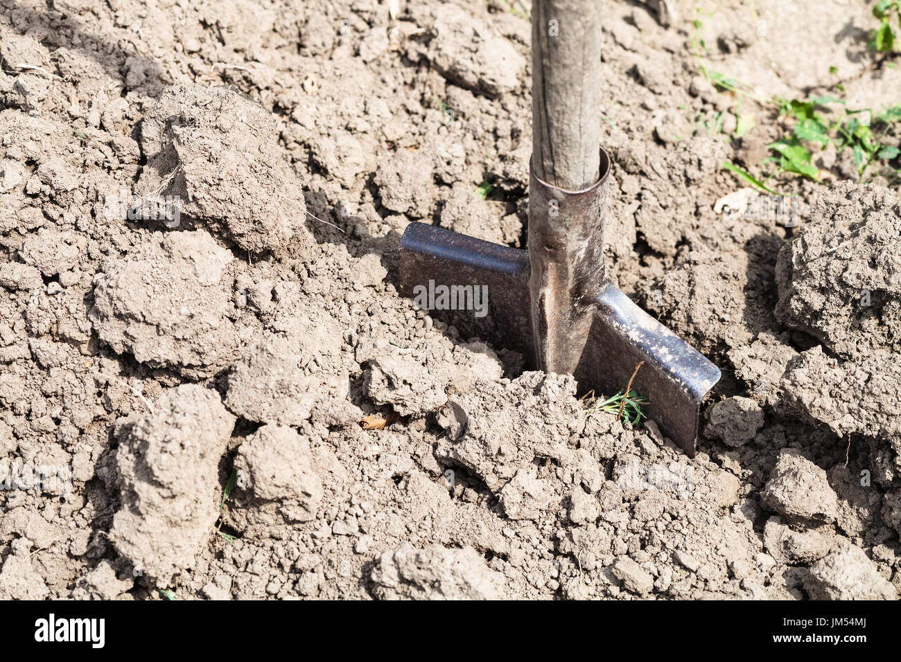Spade stuck in the ground hi-res stock photography and images - Alamy