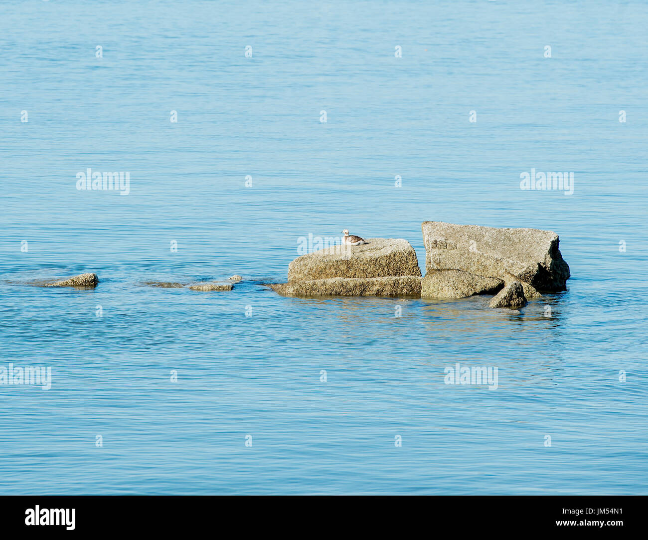 Seascape landscape blue ocean water Provincetown PTown Cape Cod MA ...