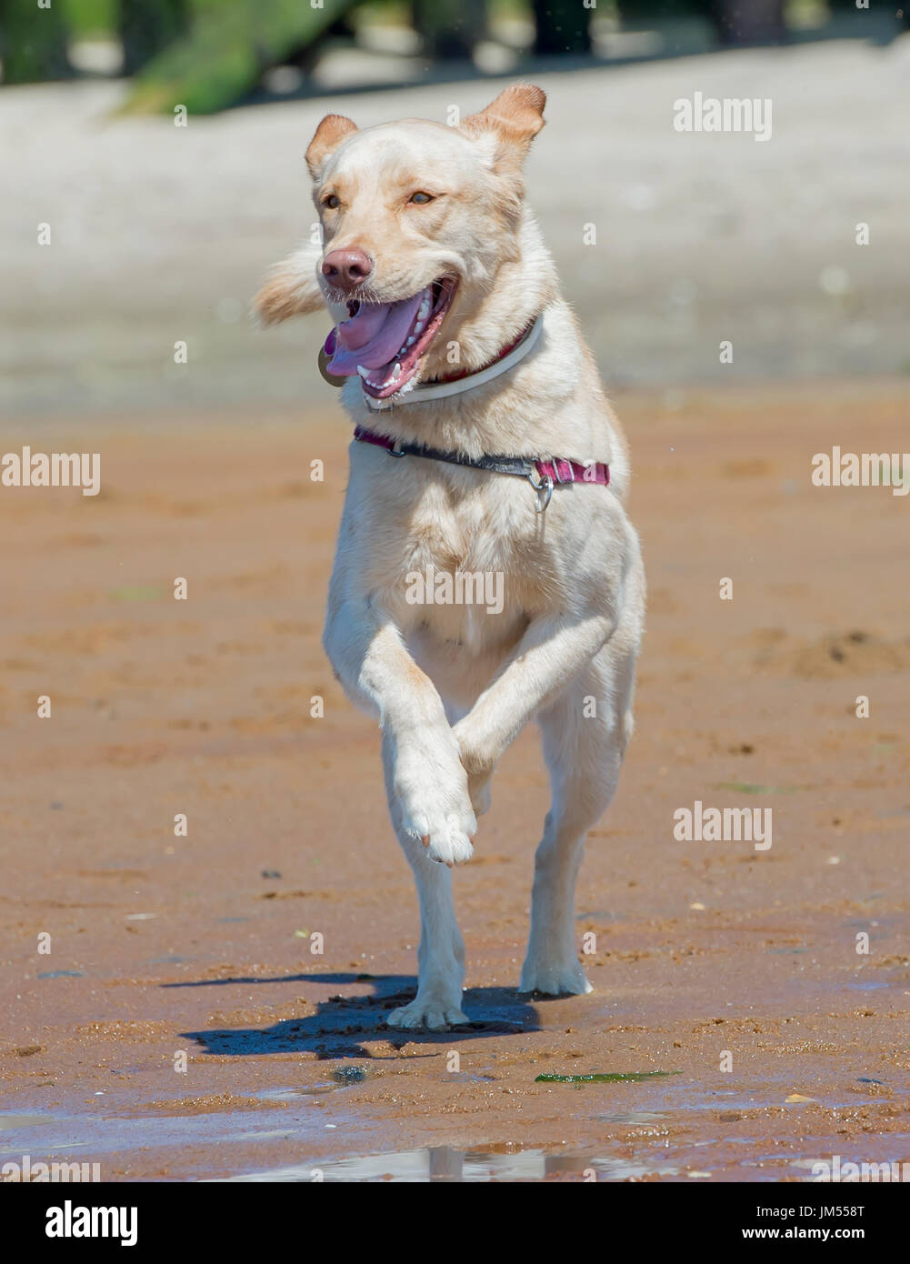 Ma running hi-res stock photography and images - Alamy