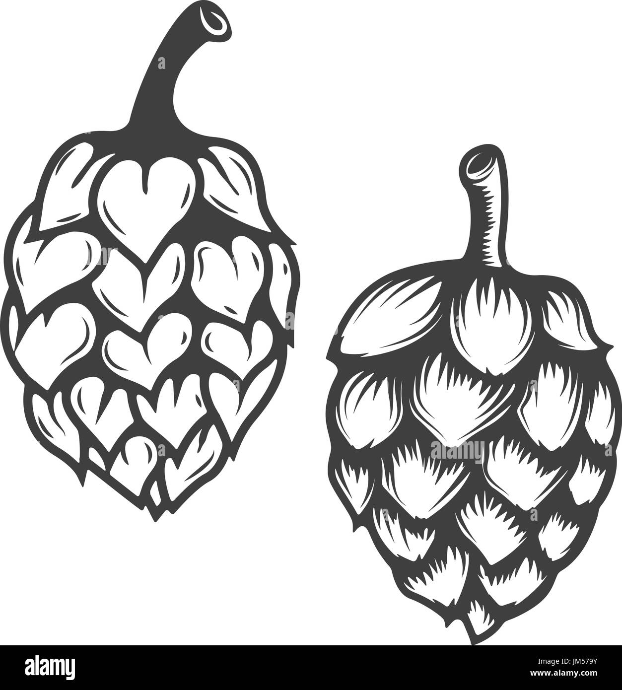 Set of hop icons isolated on white background. Design elements for logo ...