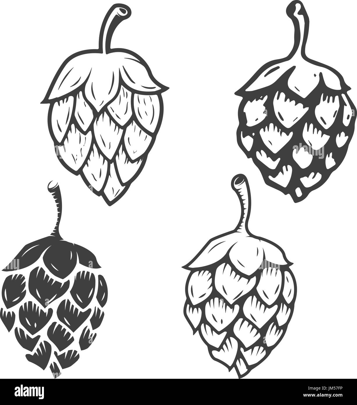 Set of hop icons isolated on white background. Design elements for logo ...