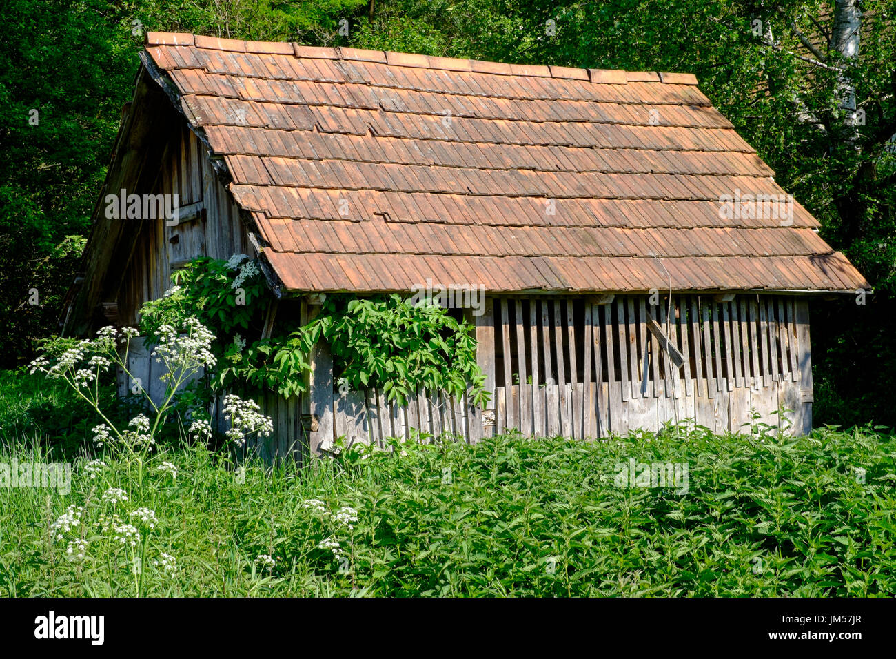 Pig sty hi-res stock photography and images - Alamy