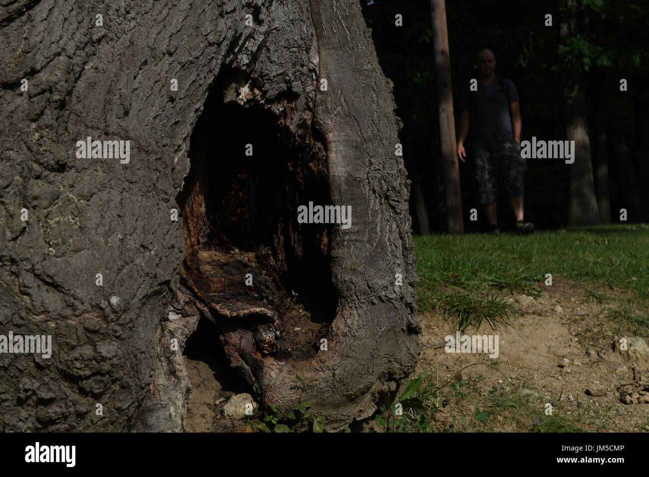 Ominous presence hi-res stock photography and images - Alamy