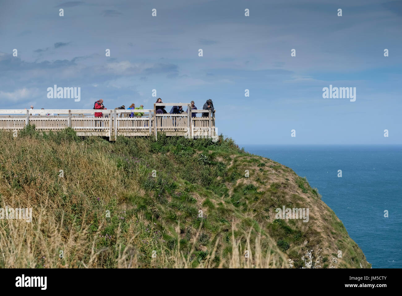 Bempton cliffs rspb nature reserve hi-res stock photography and images ...