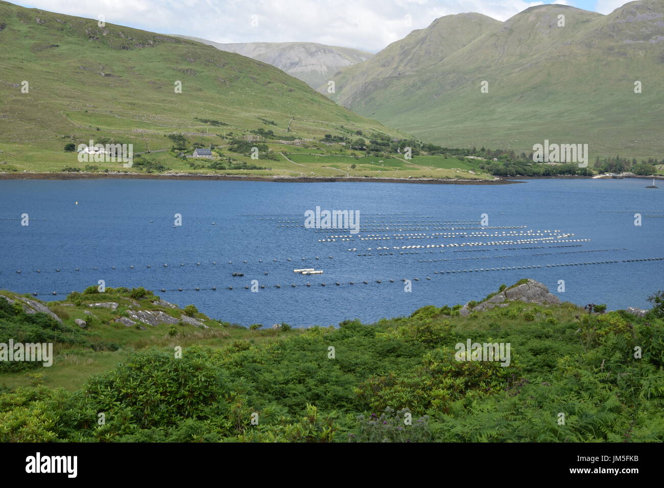 Killary harbour ireland hi-res stock photography and images - Alamy