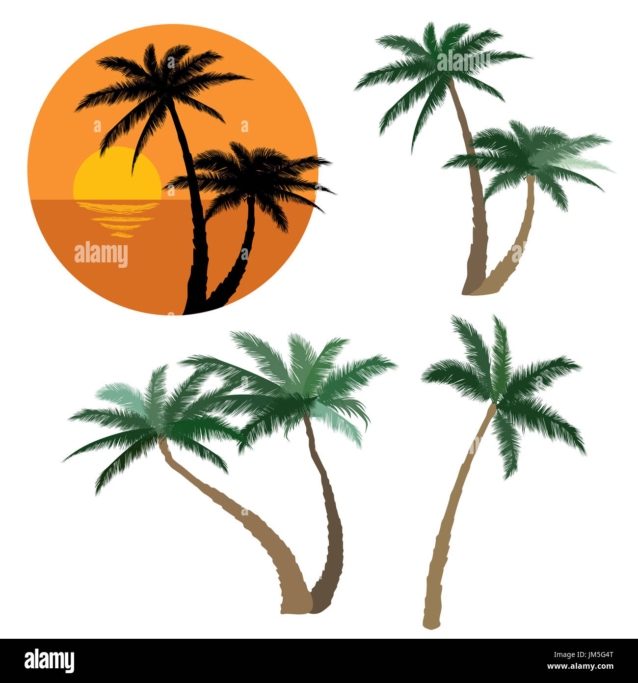 Palm tree set Nature floral design elements Tropical plant trees flat ...