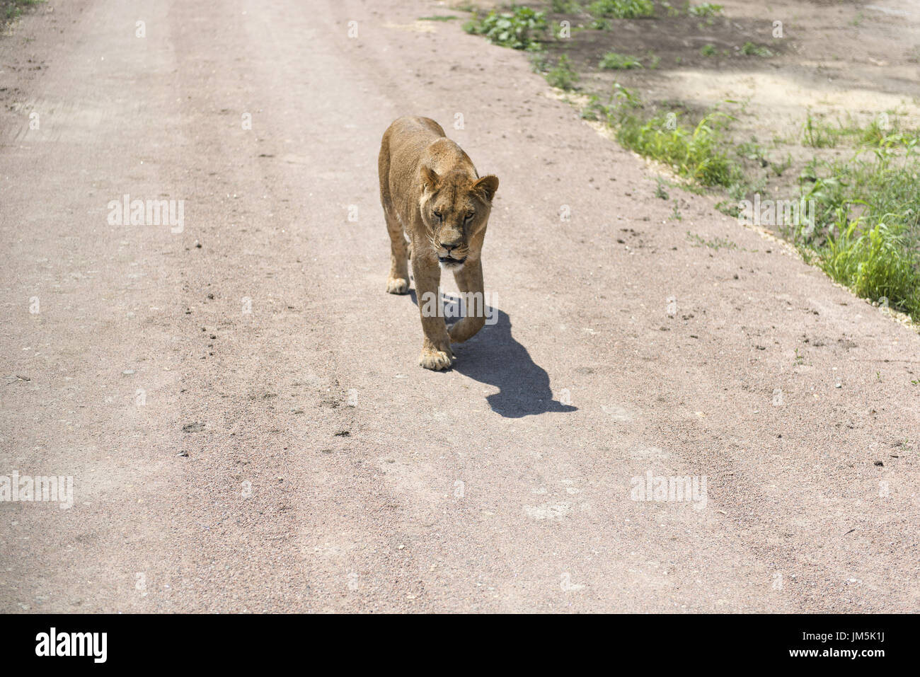 People walk along dirt road hi-res stock photography and images - Alamy