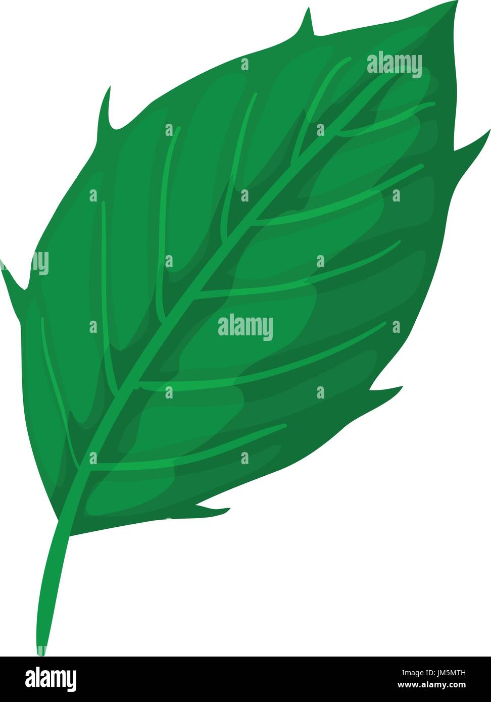Thistle leaf icon, cartoon style Stock Vector Image & Art - Alamy