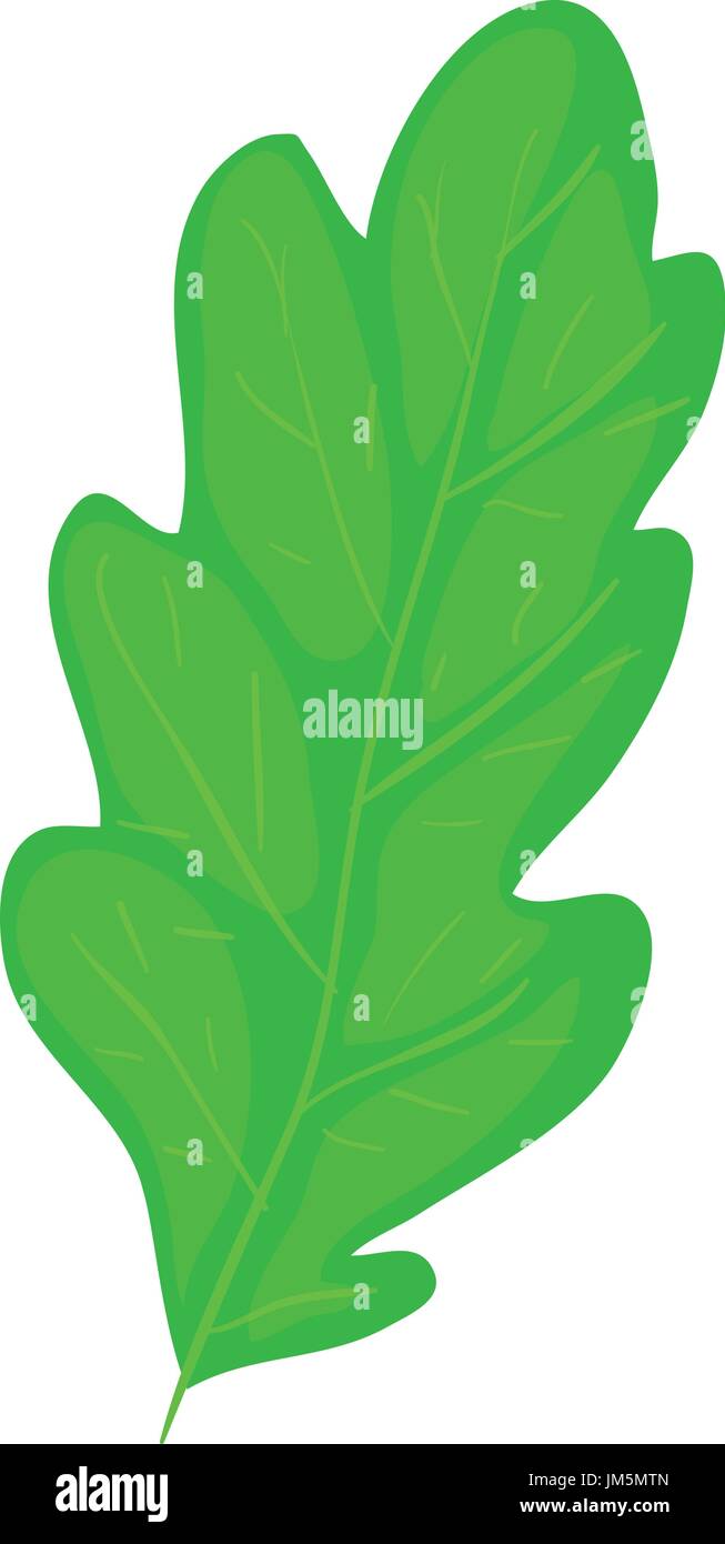 Oak leaf icon, cartoon style Stock Vector Image & Art - Alamy