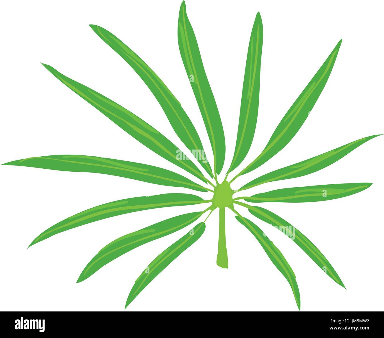 Paml tree hi-res stock photography and images - Alamy