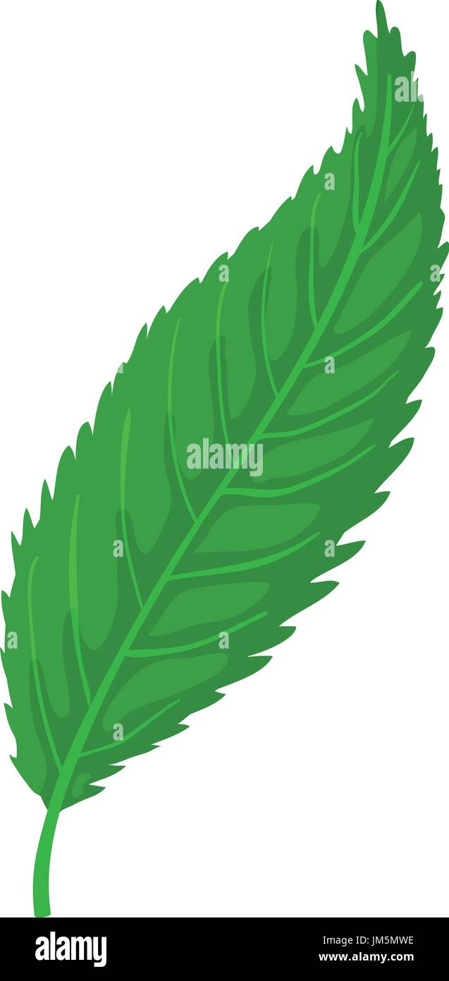 Leaf icon, cartoon style Stock Vector Image & Art - Alamy